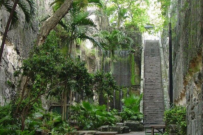 Luxury Airport Transfer in Nassau  VIP Mercedes Sprinter Service - Frequently Asked Questions