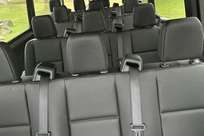 Luxury Airport Van with Private Driver - Practical Considerations