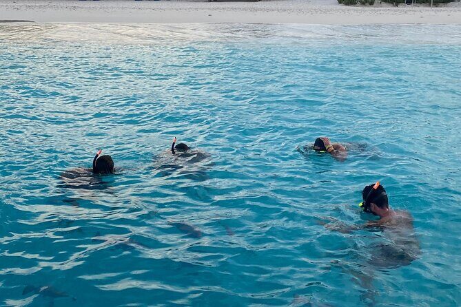 Luxury and Private Snorkel with Beach and Sunset View - A Closer Look at the Experience