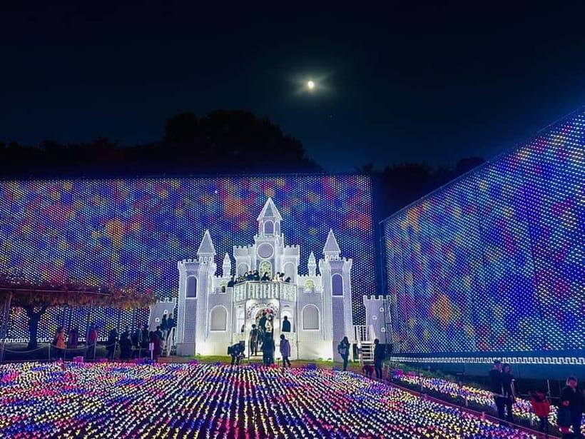 Luxury Ashikaga Flowers Park Tour With Pickup & Drop off - Key Points