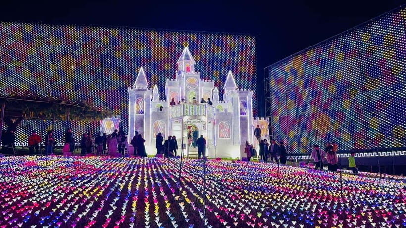 Luxury Ashikaga Flowers Park Tour With Pickup & Drop off - An In-Depth Look at the Tour Experience