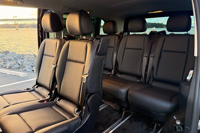 Luxury Auckland Private Tour New Fully Electric Black Mercedes - Who Should Consider This Tour?