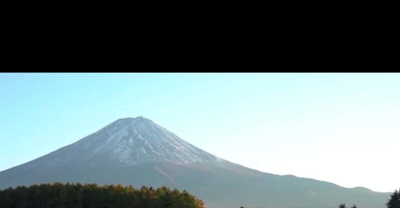 Luxury Benz Private Day Trip to Mount Fuji With Guide - Key Points