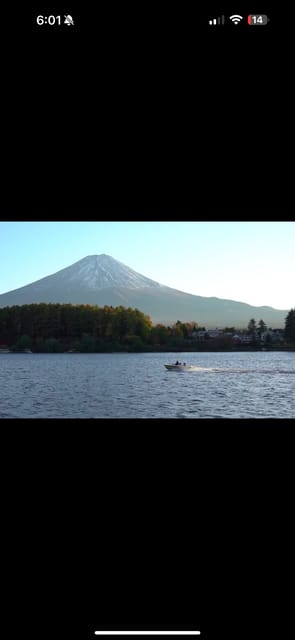 Luxury Benz Private Day Trip to Mount Fuji With Guide - Itinerary Highlights