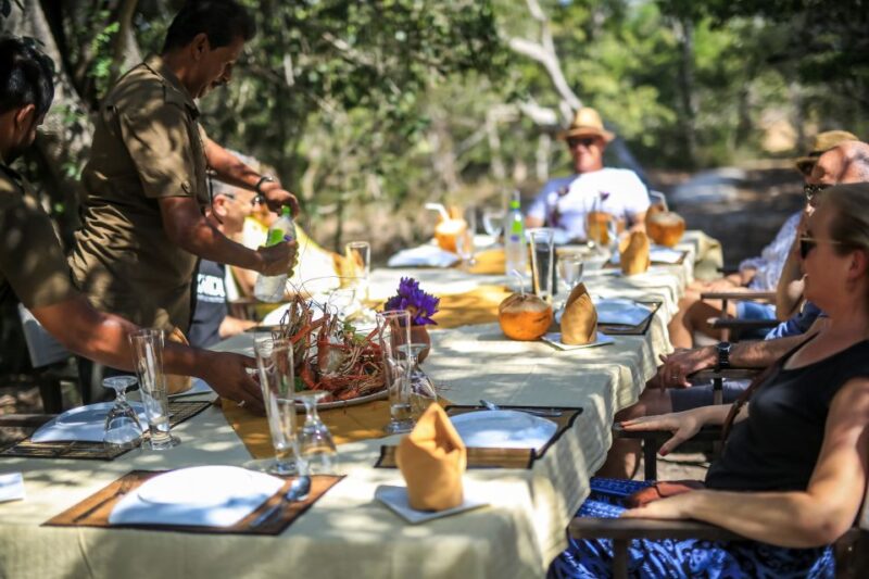 Luxury Camping and Safari Experience in Yala Park - Authentic Wildlife Encounters in a Comfortable Setting