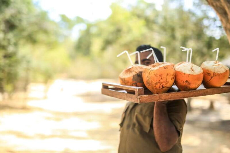 Luxury Camping and Safari Experience in Yala Park - Who Should Consider This Tour?