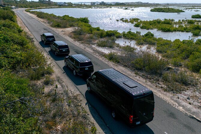 Luxury Car Service | Mercedes Benz Sprinter Van - Who Should Consider This Service?