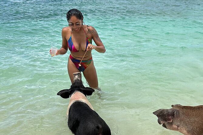 Luxury Catamaran Cruise: Sip, Sail, Snorkel, and Swim with Pigs! - Introduction