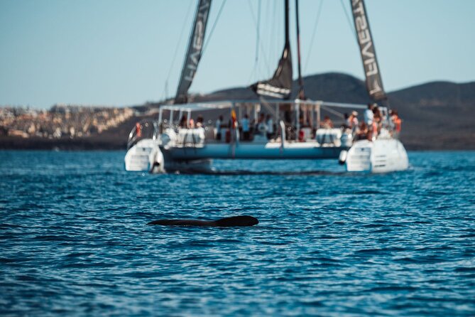 Luxury Catamaran Cruise With Brunch and Unlimited Drinks - Ideal Location: Tenerife, Spain