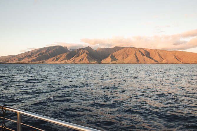 Luxury Catamaran Royal Sunset Dinner Sail (Adults-Only) - Overview of the Experience