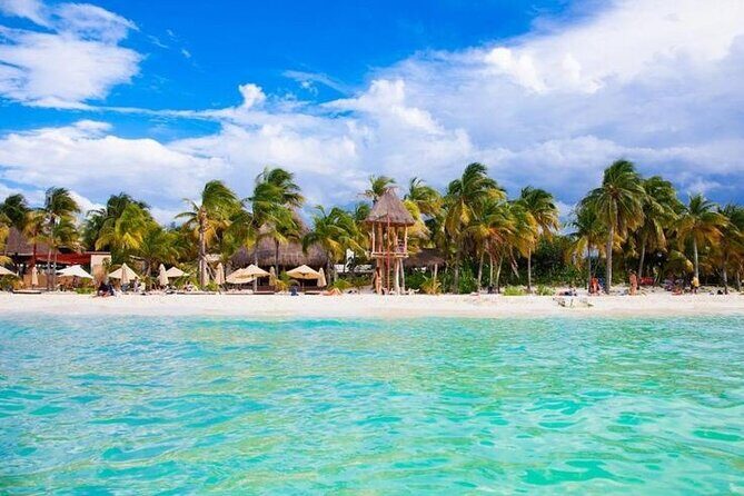 Luxury Catamaran Tour to Isla Mujeres with Transportation - Key Points