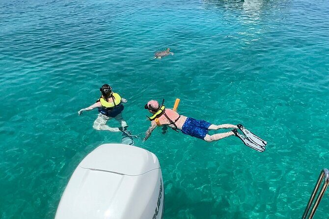 Luxury Catamaran Turtle Snorkel & Sunset Cruise - The Sum Up