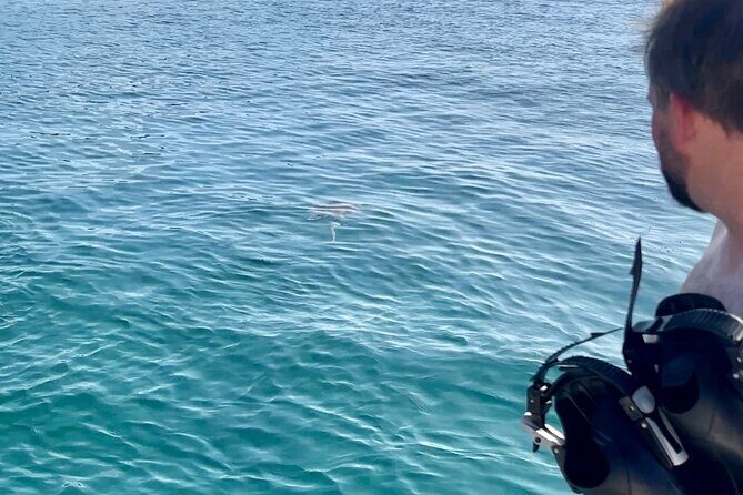 Luxury Catamaran Turtle Snorkel & Sunset Cruise - FAQ