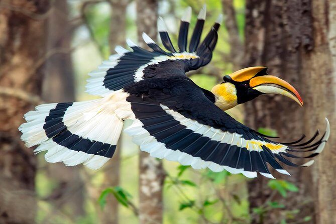 Luxury Chitwan Jungle Safari - 3 Days - The Itinerary: What You Can Expect from Each Day