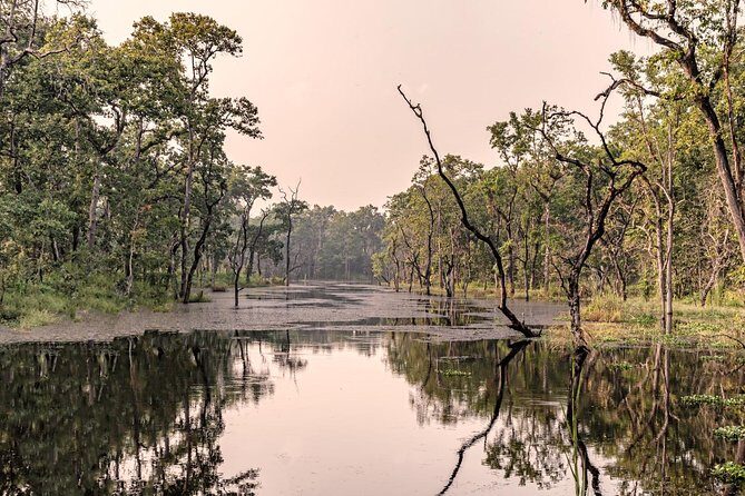 Luxury Chitwan Jungle Safari - 3 Days - Frequently Asked Questions