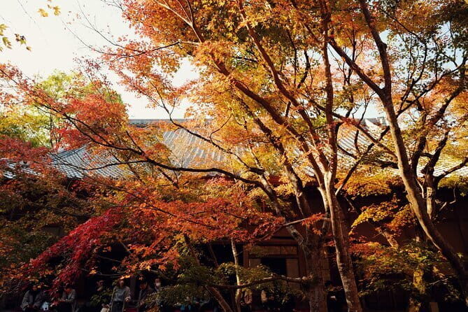 Luxury Classic Kyoto Day Tour - Private Customized Car Tour - FAQ