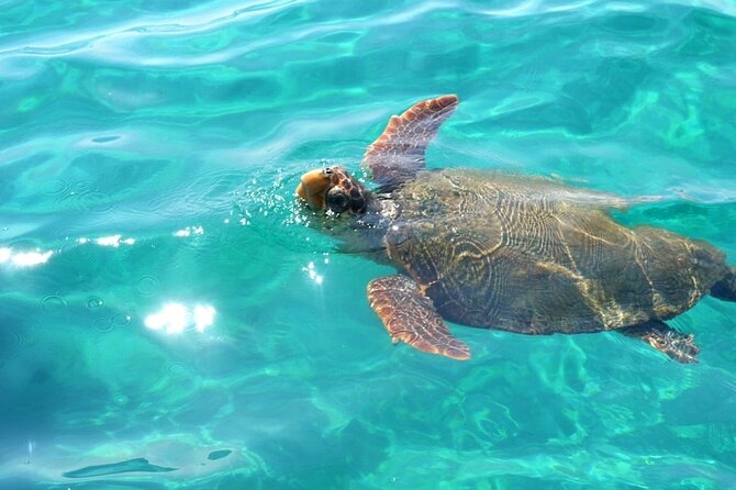 Luxury Day Sail Lindos Rhodes - Tips for a Smooth Sailing Experience