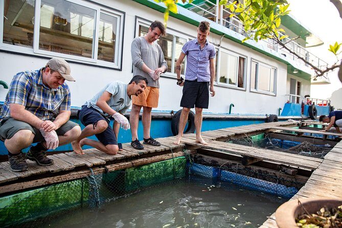 Luxury Day Trip Visit Halong Bay and Lan Ha Bay (8Hours) - Frequently Asked Questions