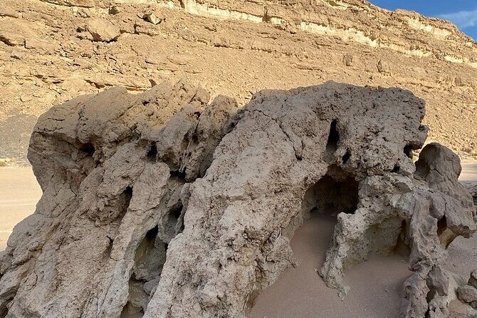 Luxury Desert Safari Tour, Morning & Afternoon from Hurghada - What to Expect on This Desert Safari Adventure