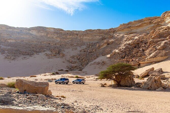 Luxury Desert Safari Tour, Morning & Afternoon from Hurghada - Considerations Before Booking