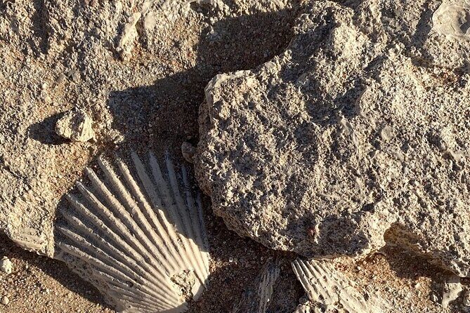 Luxury Desert Safari Tour, Morning & Afternoon from Hurghada - Final Thoughts