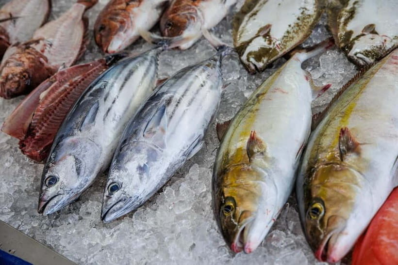 Luxury Fish Shop Tour : Exclusive Backyard Experience - FAQ