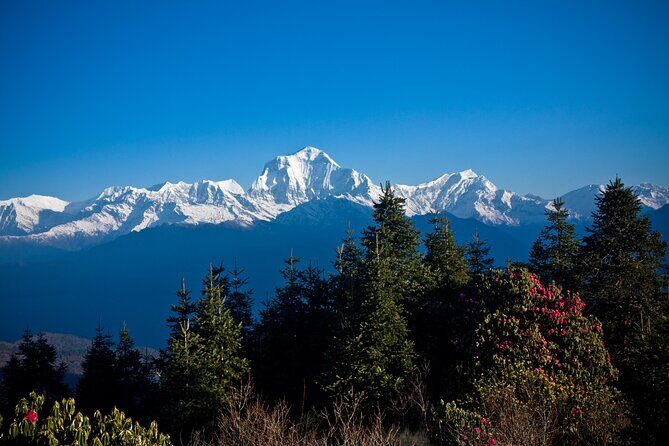 Luxury Ghorepani Poonhill Trek - 10 Days - Key Points