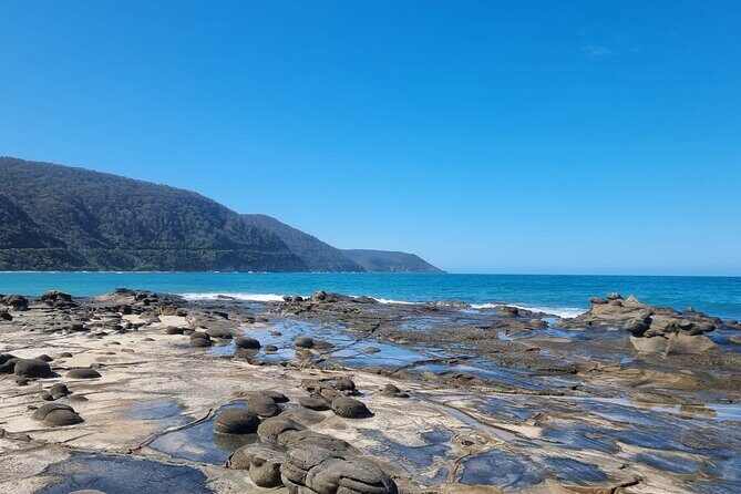 Luxury Great Ocean Road Tour Max 11 with Pickup Service - FAQ