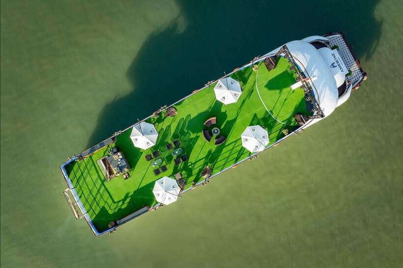Luxury Ha Long Bay Day Trip From Harbor/ Buffet Lunch/Kayak - The Itinerary in Detail: What to Expect