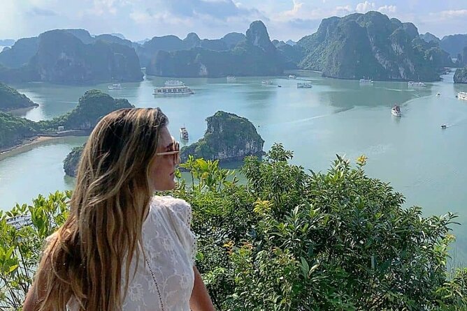 Luxury Halong Day Tour From Hanoi - Food and Beverages