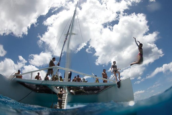 Luxury Hawaiian Sea Turtle, Dolphin Sail and Kona Snorkel - FAQs