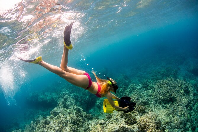 Luxury Kona Coast Snorkel Tour Including Lunch - Authentic Encounters and Review Highlights