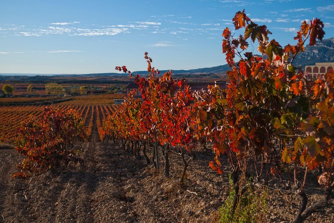 Luxury La Rioja Wineries Private Tour - Frequently Asked Questions