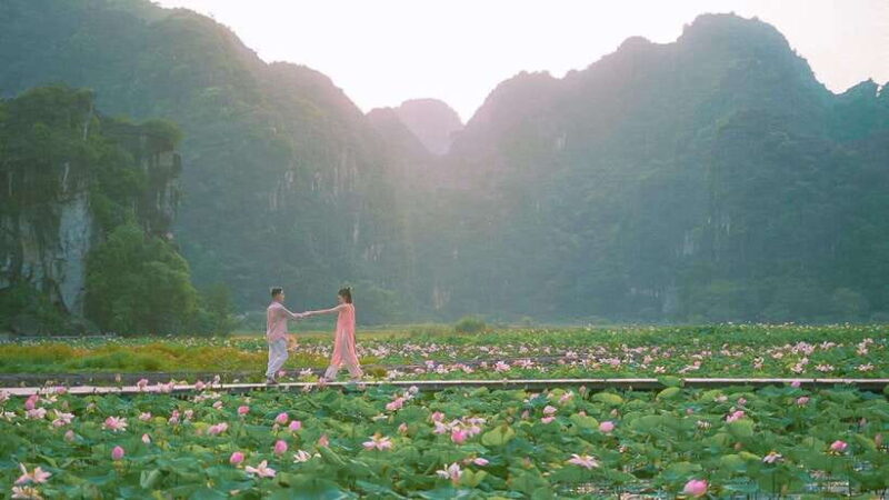 Luxury Limousine Tour: Hoa Lu, Trang An/Tam Coc & Mua Cave - Practical Details and Value