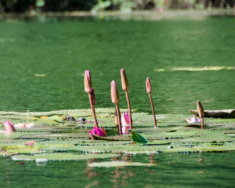 Luxury Limousine Tour: Hoa Lu, Trang An/Tam Coc & Mua Cave - The Sum Up