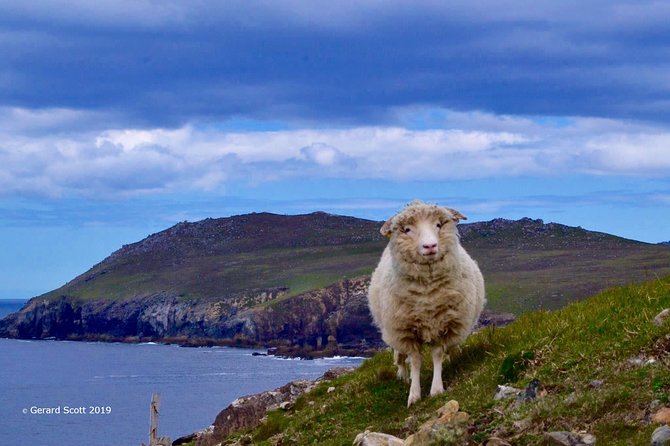 Luxury Luck of the Irish Tour - Fully Guided and Chauffeured 4 Days 3 Nights - Meeting and Pickup Details