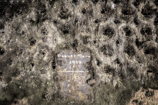 Luxury Luxury Wine Tour Experience - Culinary Delights of the Region