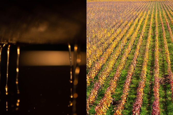 Luxury Luxury Wine Tour Experience - Scenic Vistas and Historical Context