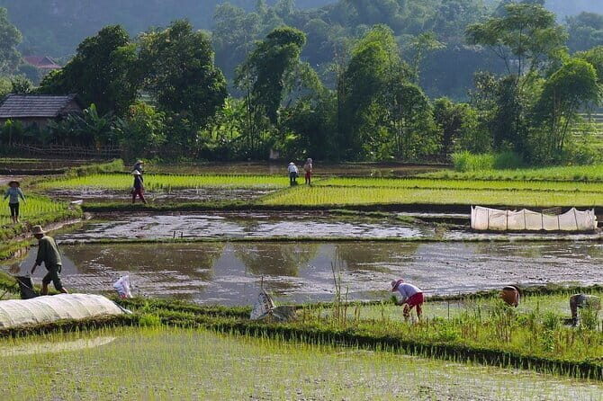 Luxury Mai Chau Day Trip Discover Hidden Gem & Stunning Cave - Discovering the Natural and Cultural Highlights of Mai Chau