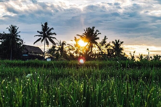 LUXURY Mekong 2 Days 1 Night SMALL GROUP Stay at Tiny Homestay with BBQ Dinner - Final Summary