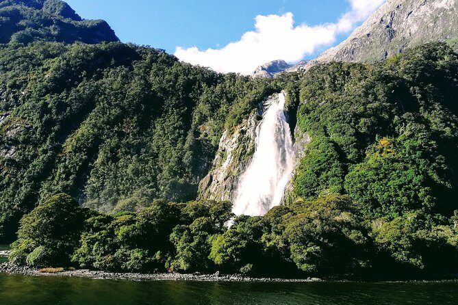 Luxury Milford Sound Coach and Scenic Cruise - Milford Sound Cruise: The Main Event
