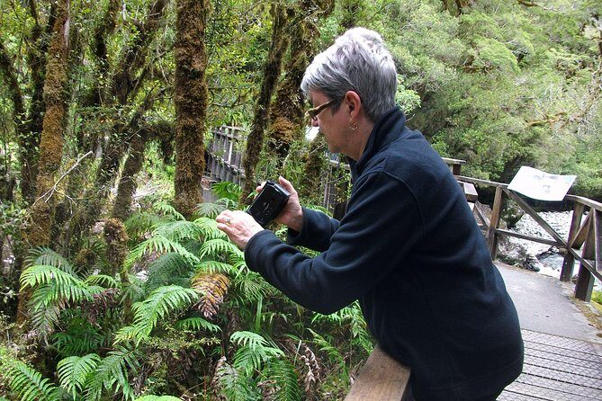 Luxury Milford Sound Coach and Scenic Cruise - The Return Journey and Overall Experience