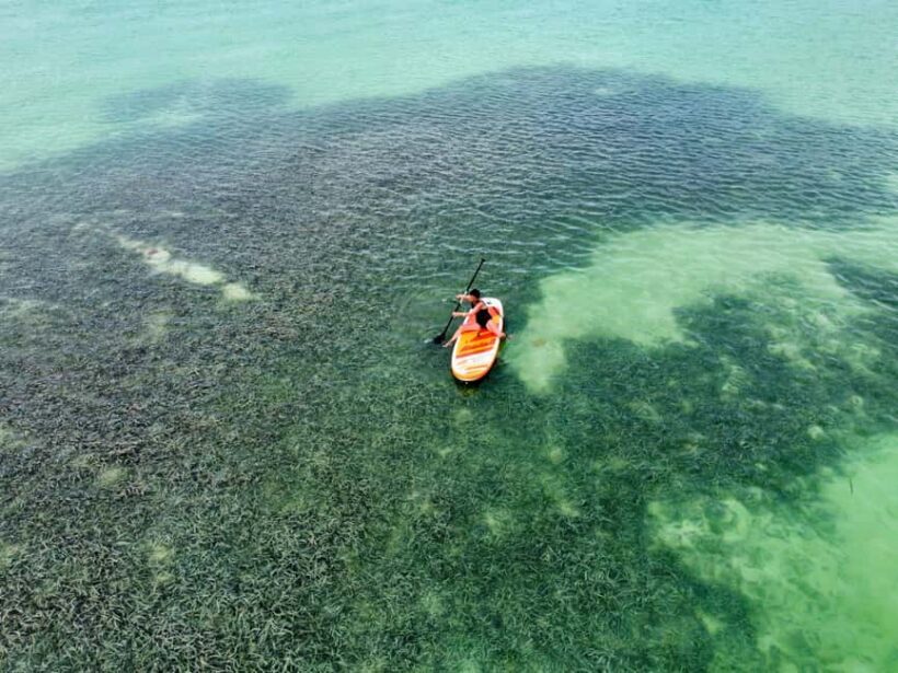 Luxury Mini Yacht Private Cruise in Cotubanamá National Park - Luxury Mini Yacht Private Cruise in Cotubanamá National Park