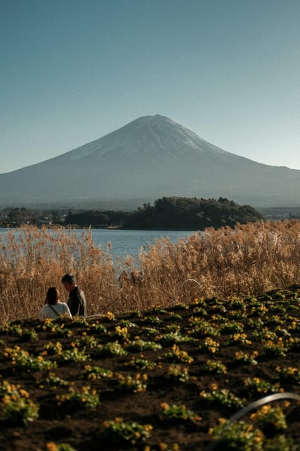 Luxury Mt. Fuji Private Tour: Elite Experience - Oshino Hakkai