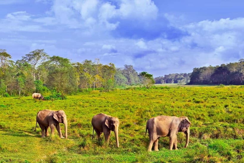 Luxury Nepal Tour: Kathmandu, Chitwan & Pokhara- Private Car - What Makes This Tour Stand Out?