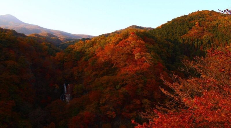 Luxury Nikko Gateway;Private Guided Tour - Transportation and Accessibility