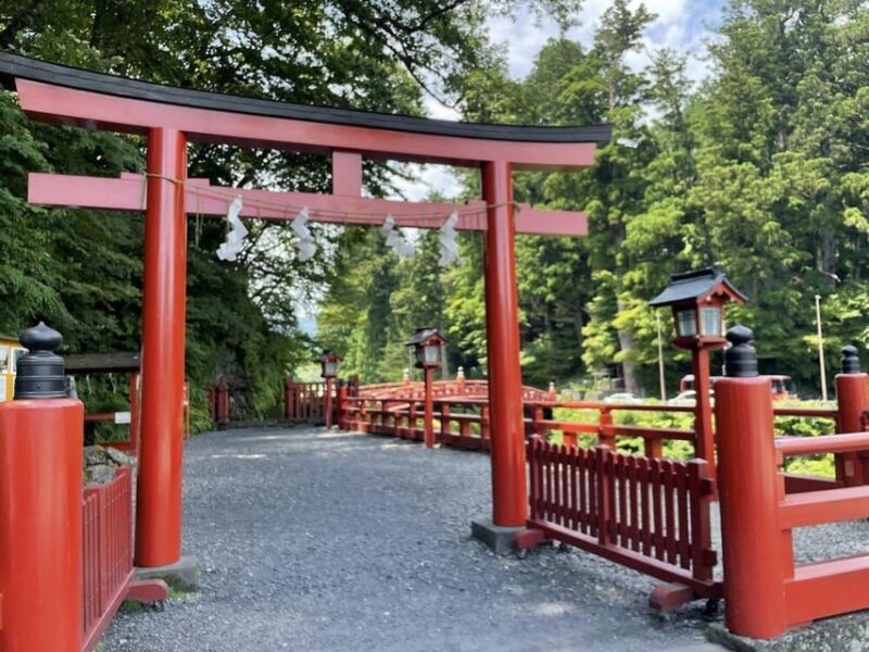 Luxury Nikko Gateway;Private Guided Tour - Important Considerations