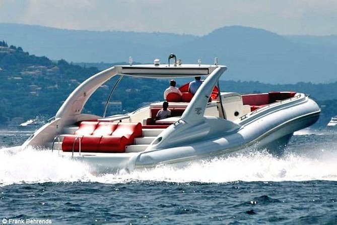 Luxury Opera 60 Whale & Dolphin Watching Experience - Immersive Swimming and Snorkeling