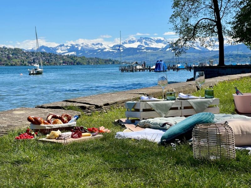 Luxury Picnic by Zurich Lake - Key Points