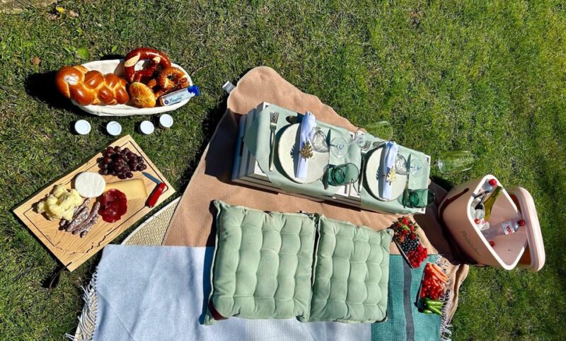 Luxury Picnic by Zurich Lake - Preparing for Your Picnic Experience